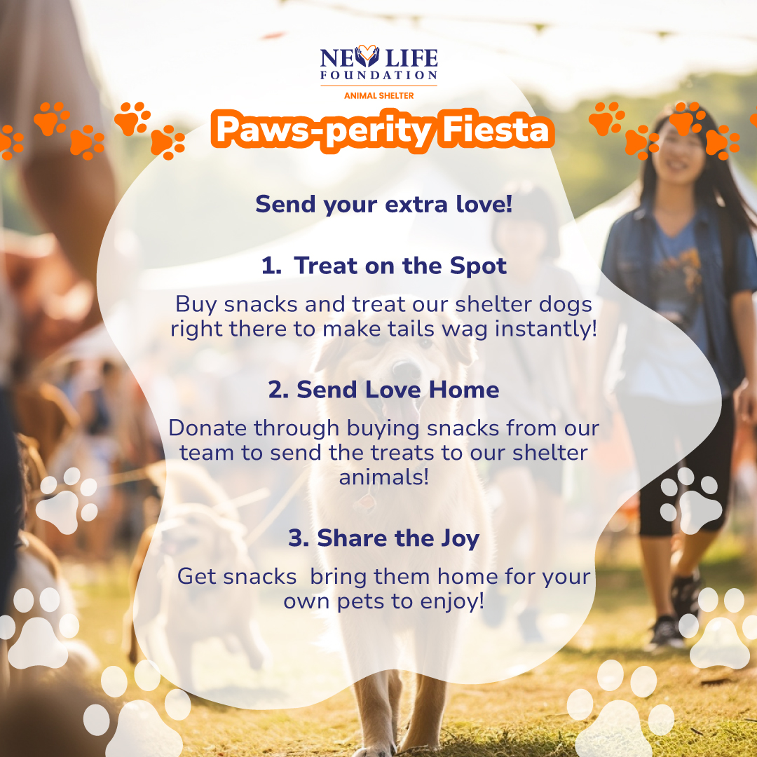 Furry Friends Assemble! - New Life Foundation