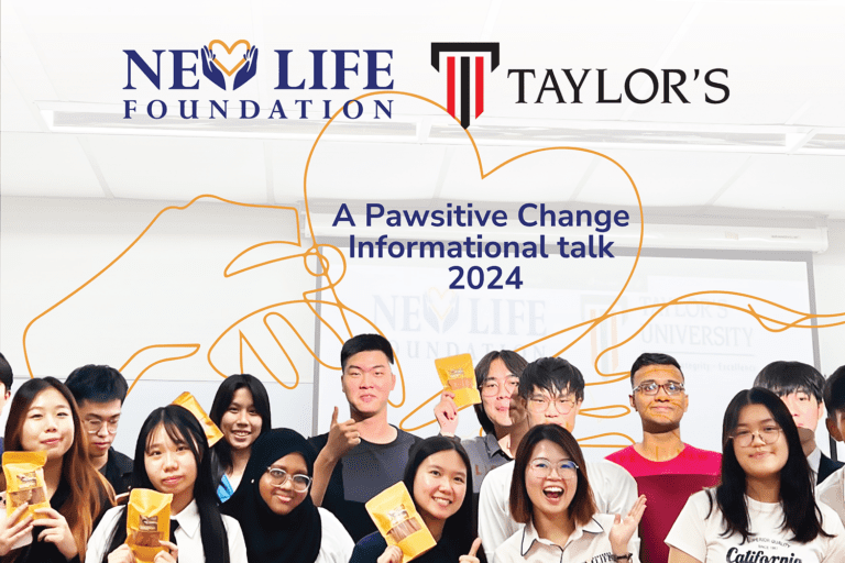 New Life Foundation